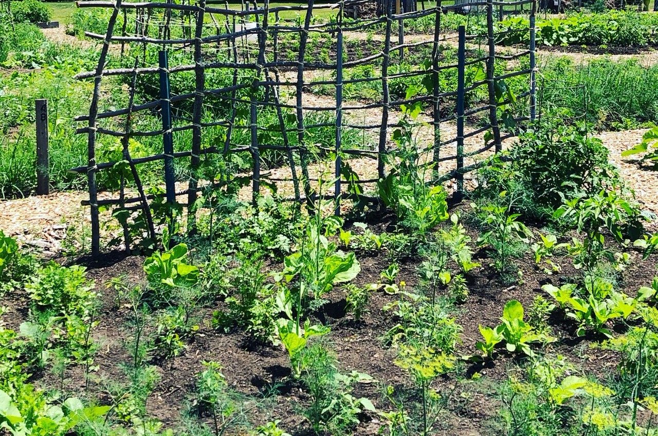 FoodWIse – Extension Dunn County