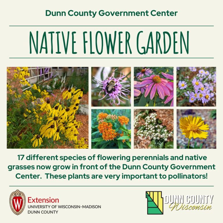 DCGC Native Garden – Extension Dunn County